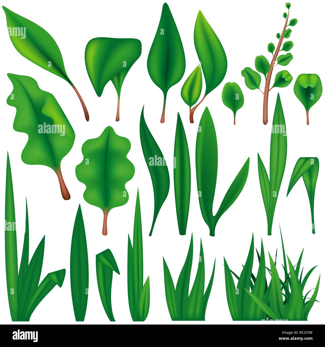 Formes de feuilles Banque d'images vectorielles - Alamy