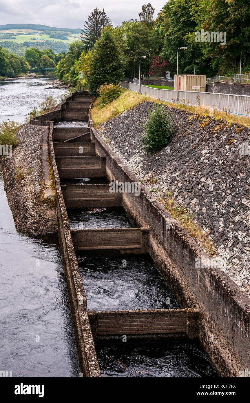 L'échelle à poissons de Pitlochry délimité par un talus rocheux et par ...