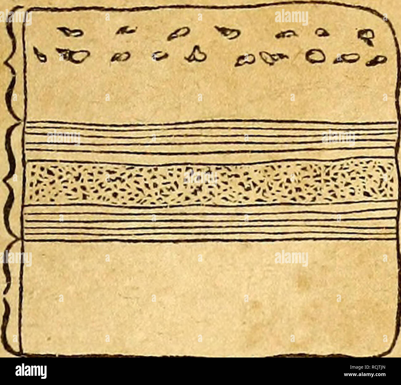 Chapitre marne Banque de photographies et d’images à haute résolution ...