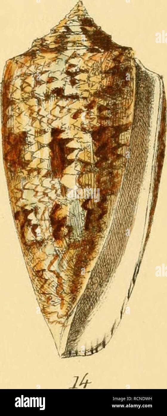 R 1820 1878 Banque de photographies et d’images à haute résolution - Alamy