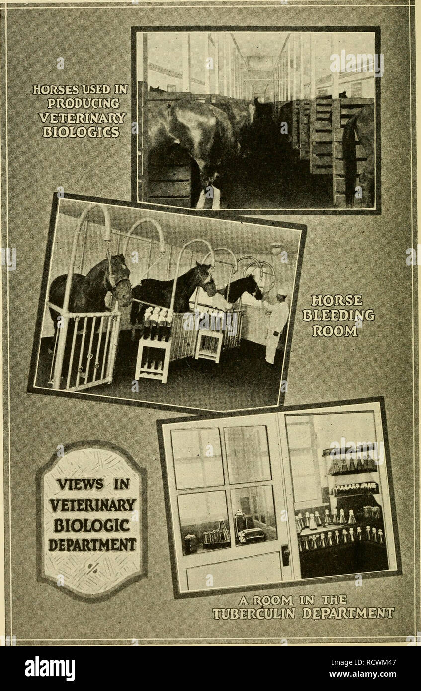 Pitman moore inc Banque de photographies et d’images à haute résolution ...