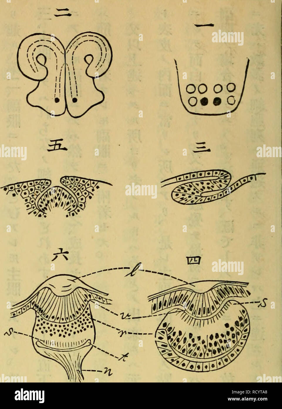 1 cu1 e ac Banque de photographies et d’images à haute résolution - Alamy
