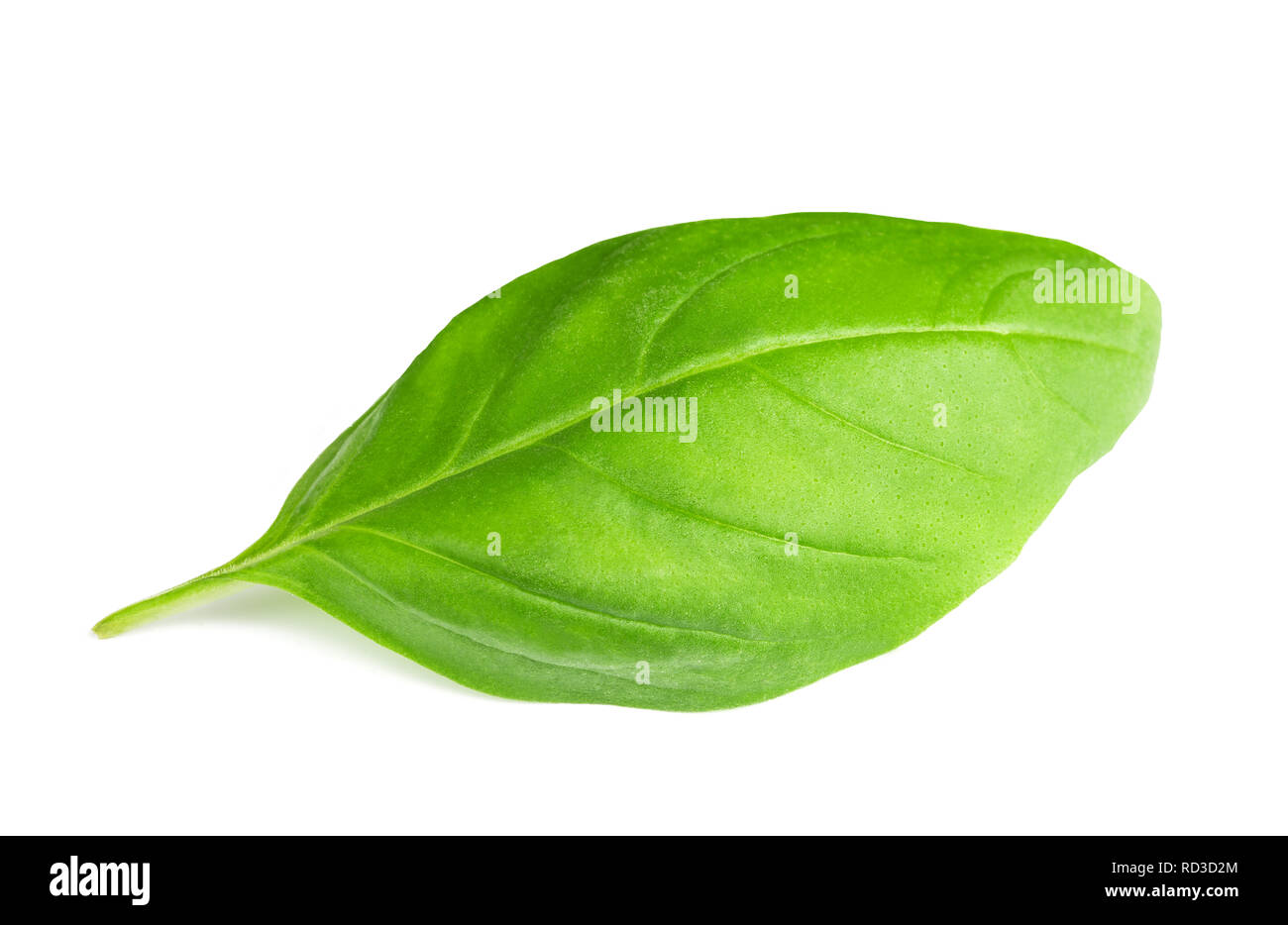 Feuilles de basilic feuille Banque de photographies et d’images à haute ...