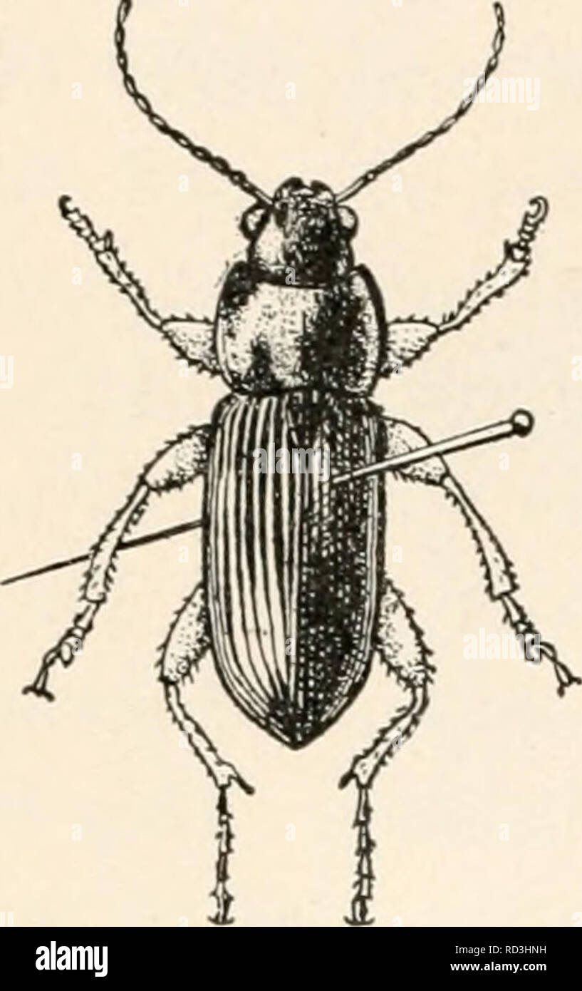 Collé Sur Du Carton Banque d'image et photos - Alamy