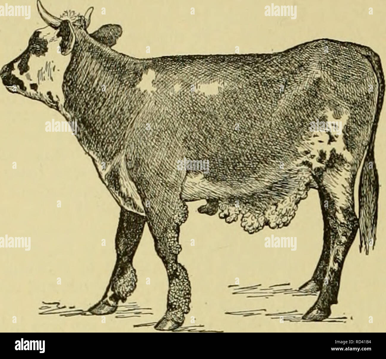 . Cyclopedia des animaux de ferme. Les animaux et produits du règne ...