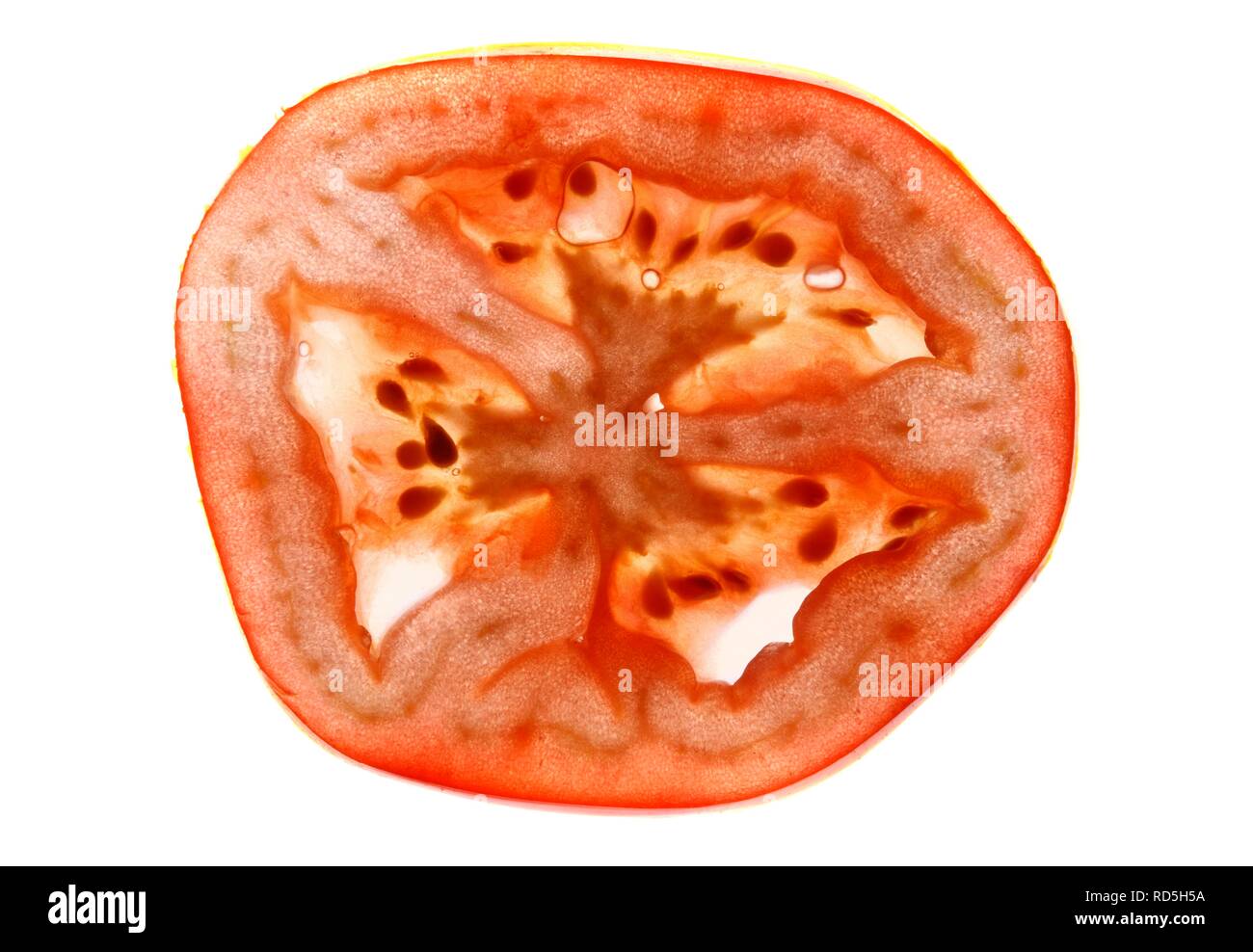 Coupe transversale de tomate Banque de photographies et d’images à ...