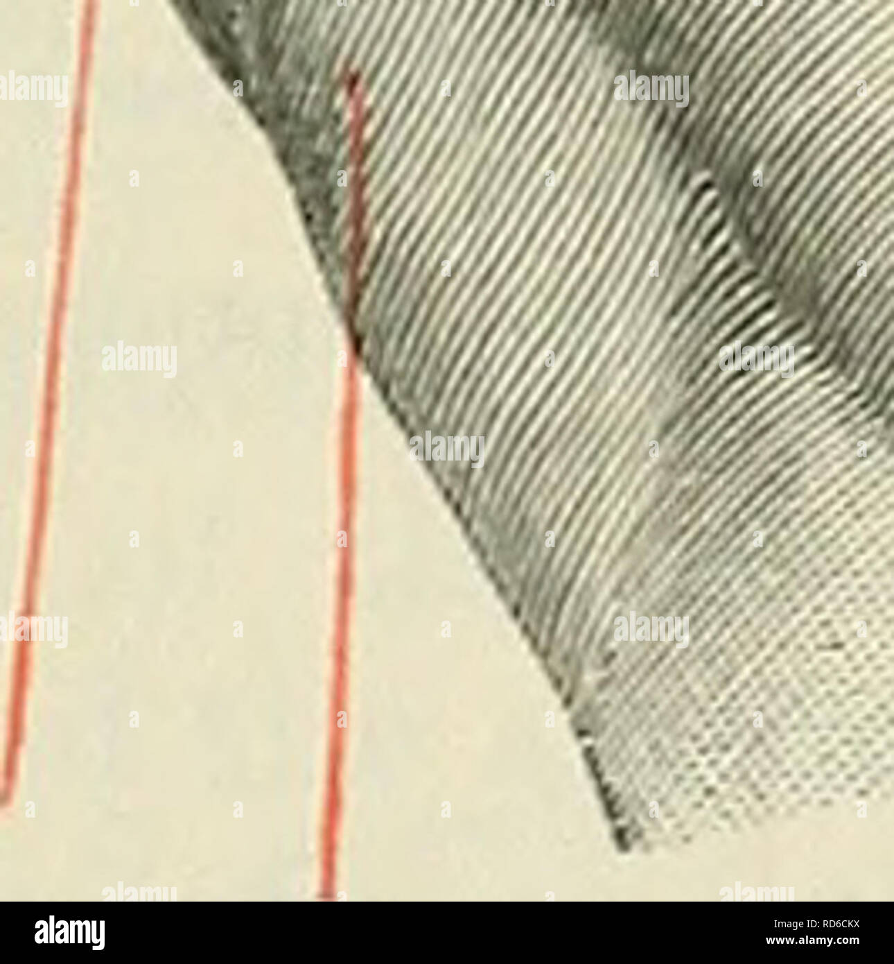 . Cunningham's Text-book de l'anatomie. L'anatomie. Les muscles ...