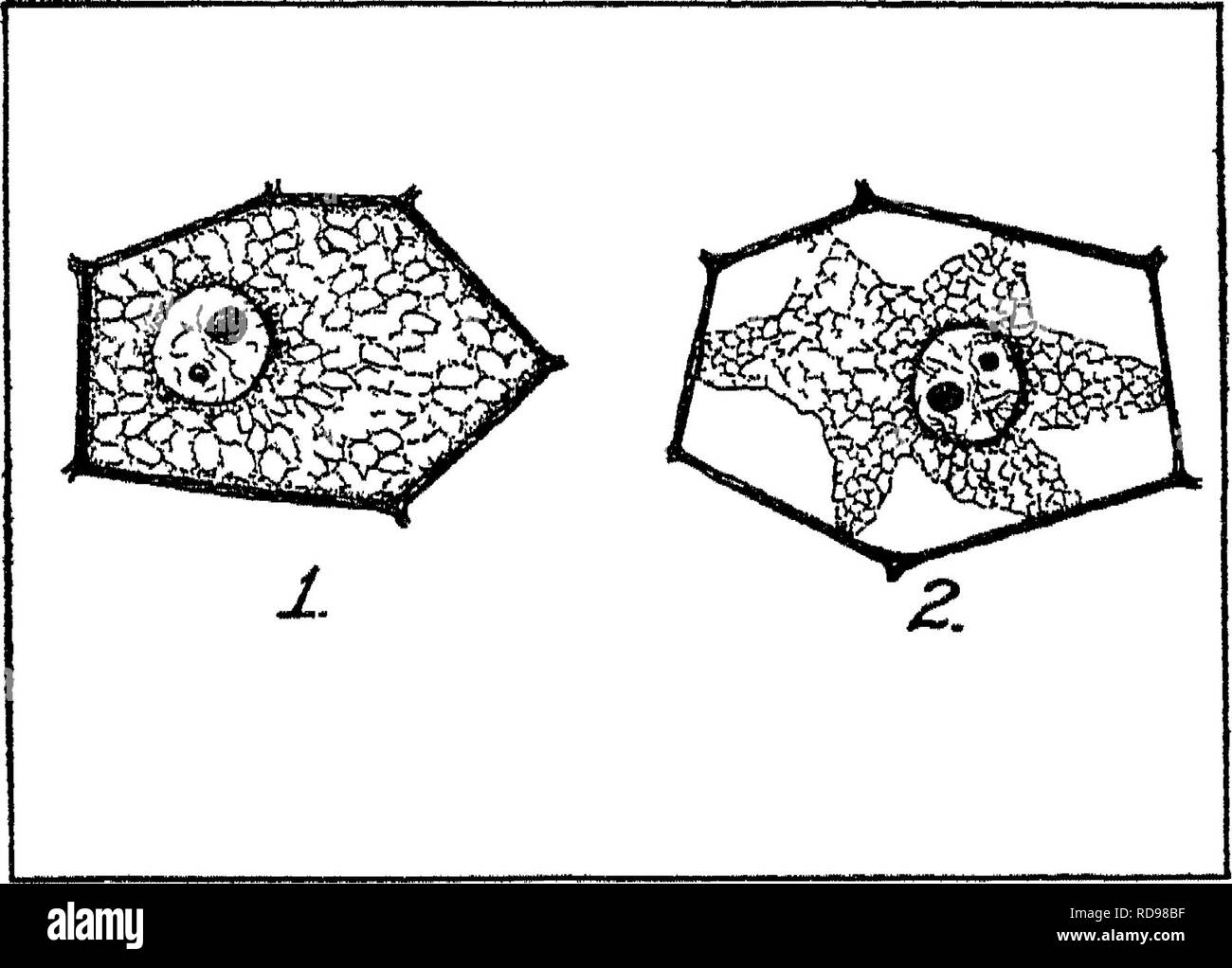 . La nature et les propriétés des sols ; un collège texte de edaphology ...