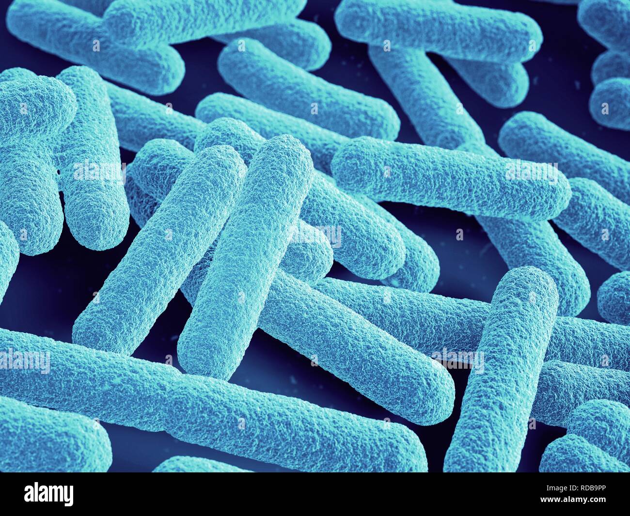 Bacteria Cartoon Banque d'image et photos - Alamy