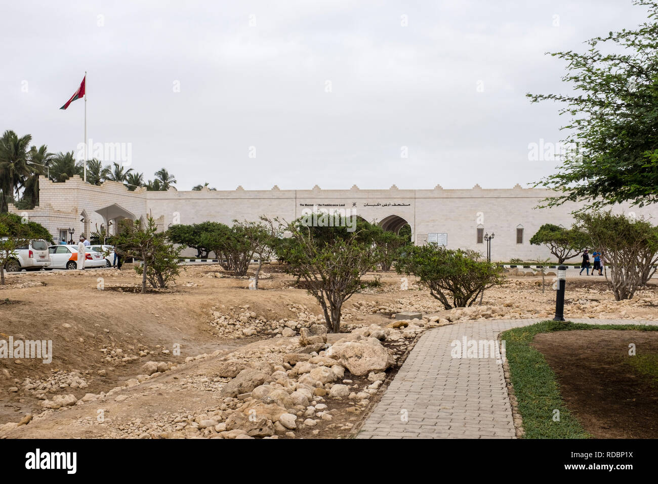 L'oliban arbres croissant à l'extérieur de l'entrée du Musée de l ...