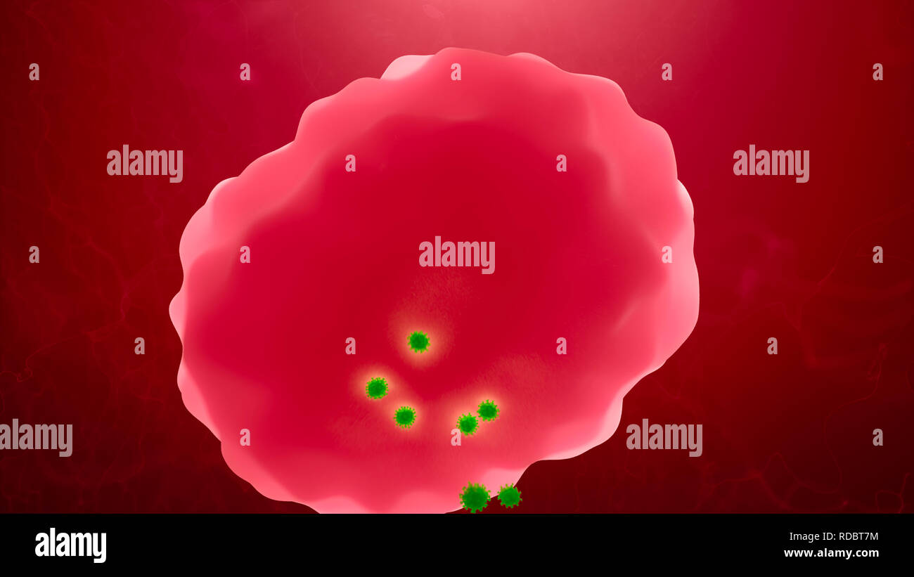 Attaque de virus sur un lymphocyte (globule blanc ). L'infection et l ...