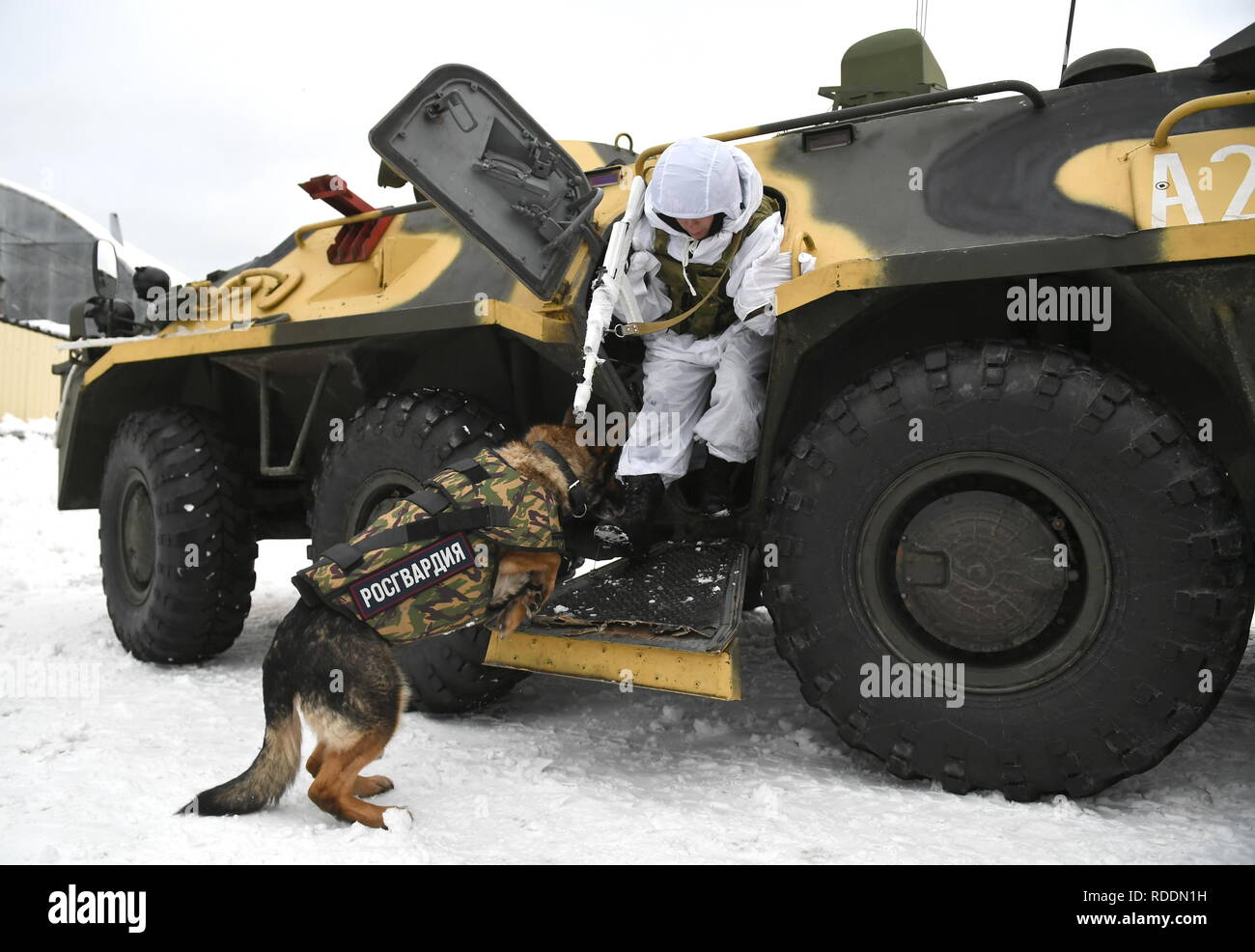Transporteur Blindé Allemand Banque d'image et photos - Alamy