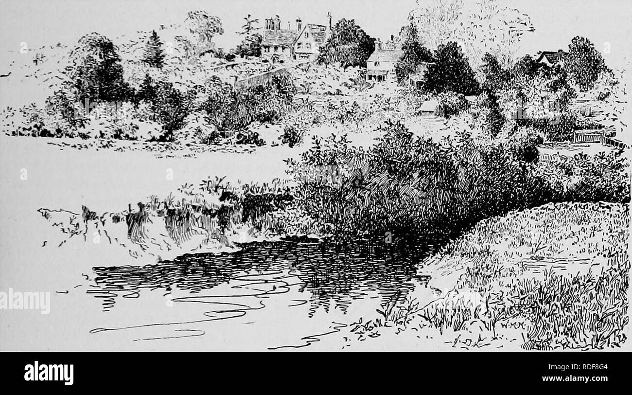 . L'histoire de Victoria du comté de Surrey. L'histoire naturelle ...