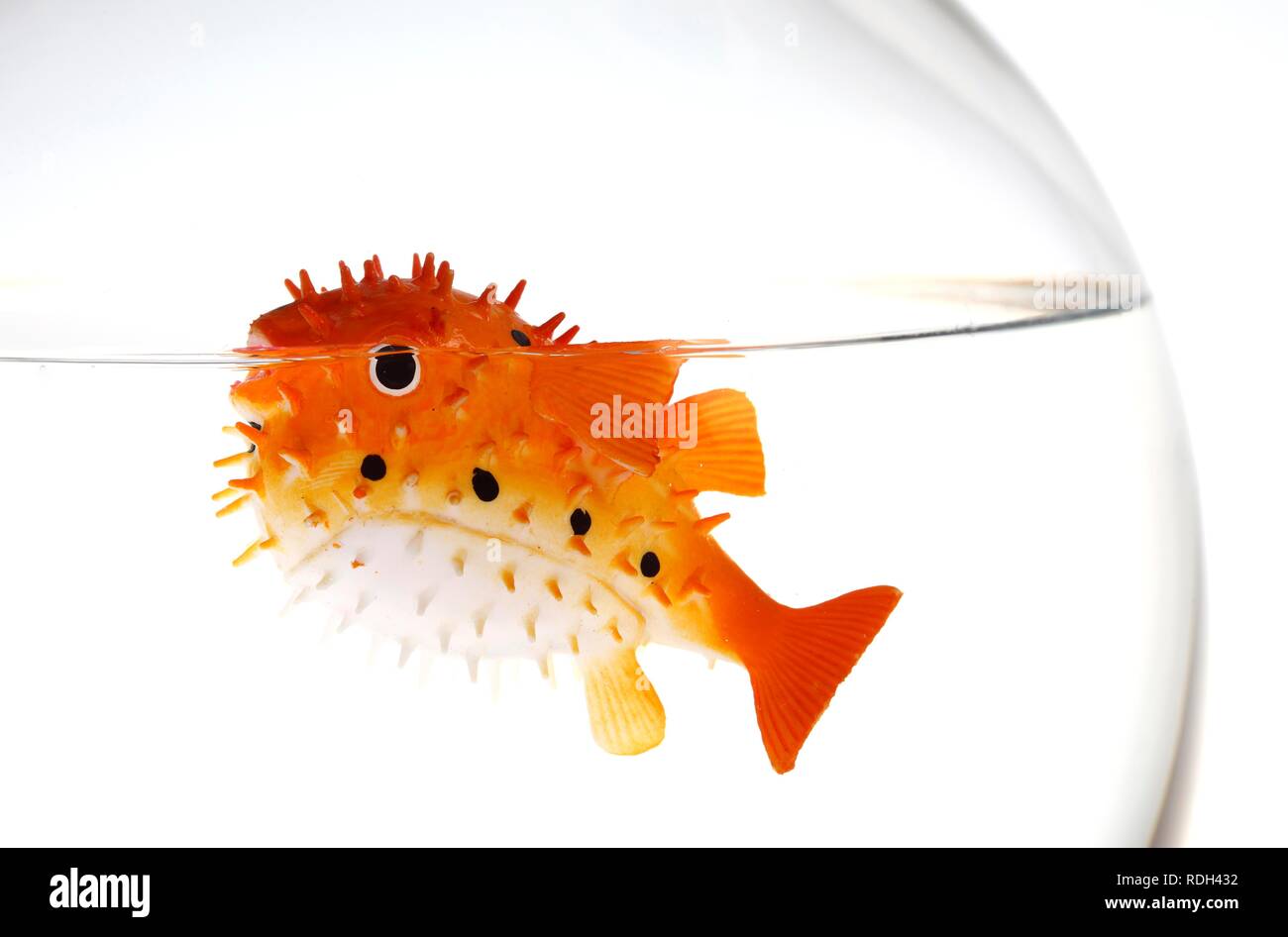 Figurines de poissons jouets Banque de photographies et d’images à ...