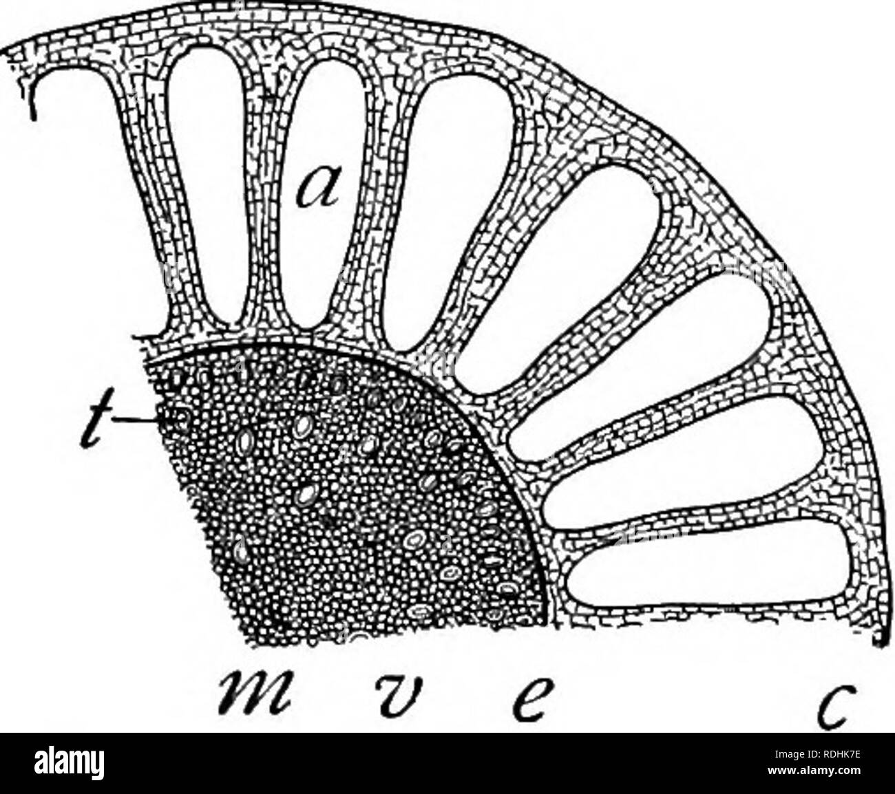 Central chambers Banque d'images détourées - Alamy