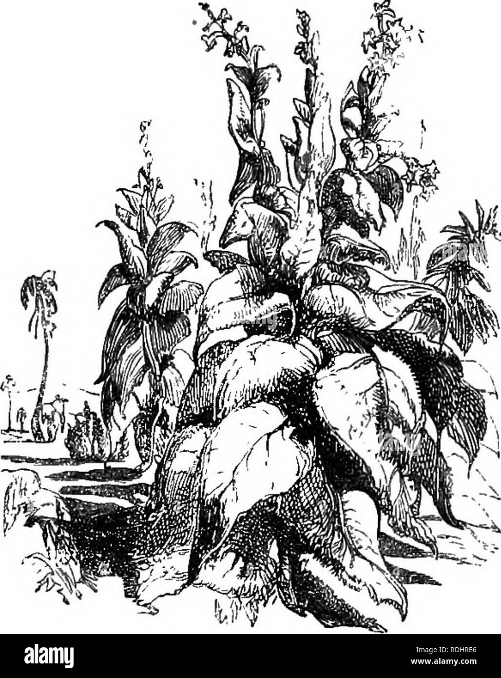 Boite à tabac ronde Banque d'images noir et blanc - Alamy