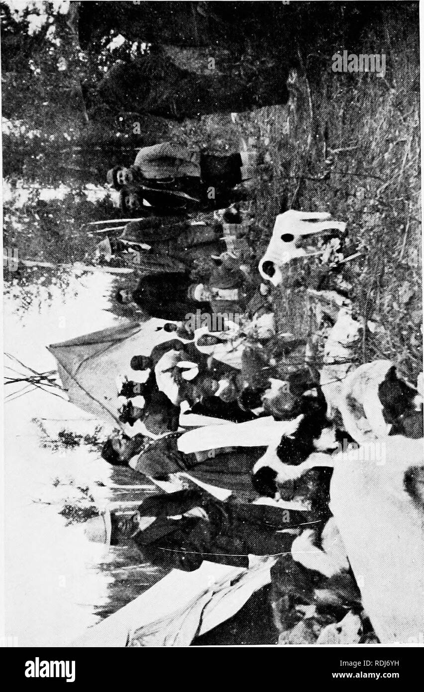 Ross and macfarlane Banque d'images noir et blanc - Alamy