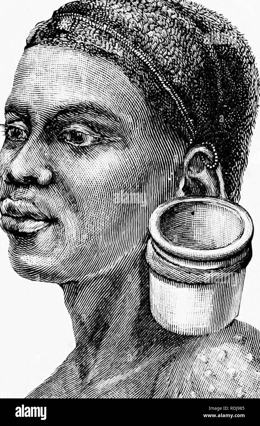 . L'homme et la bête dans l'Est de l'Ethiopie : à partir d'observations ...