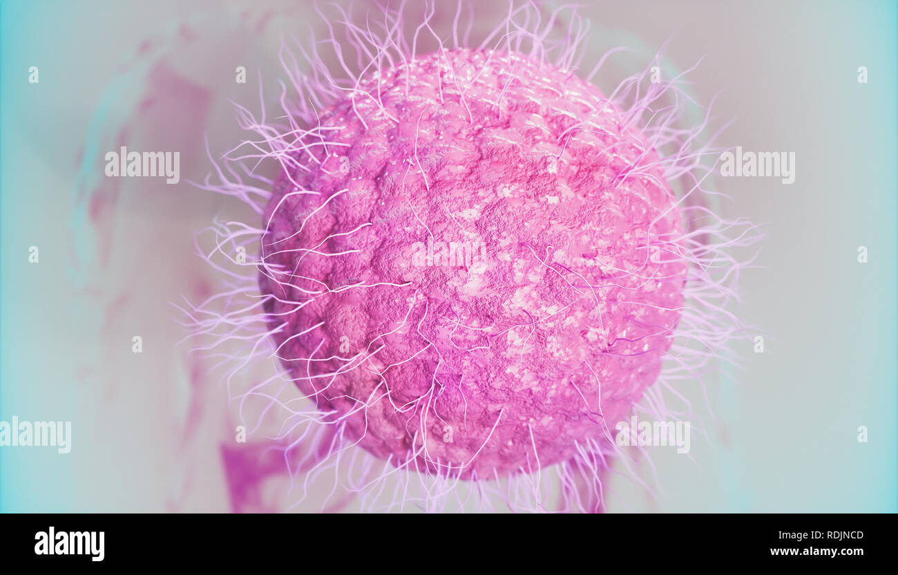 Varicelle - Zona - herpès virus - 3D Rendering Photo Stock - Alamy