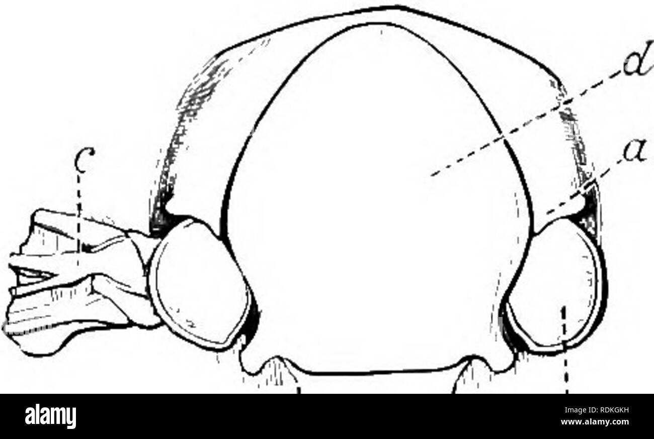 Angle de repos Banque d'images noir et blanc - Alamy