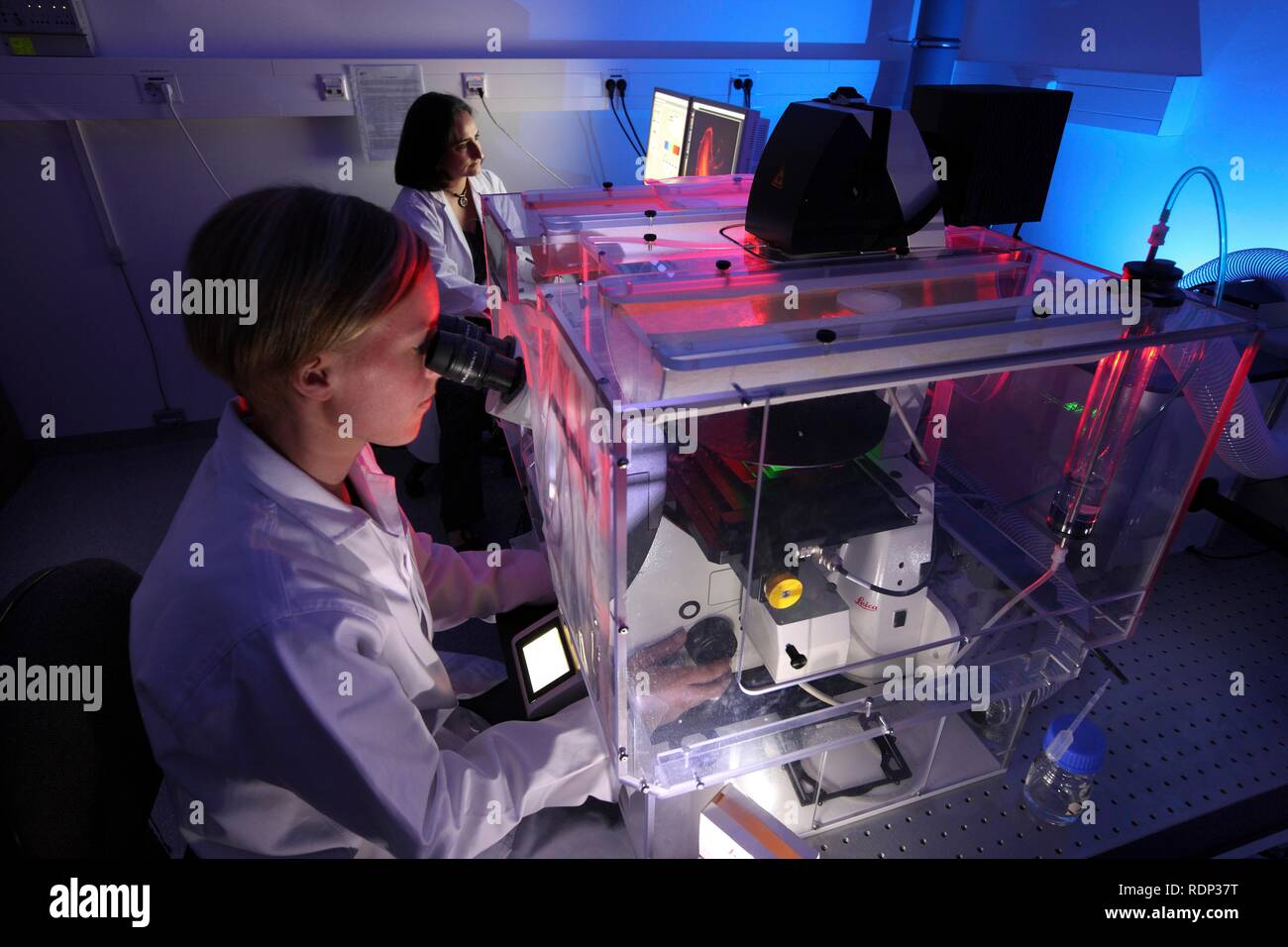 La biotechnologie, microscope à fluorescence, une version spéciale d'un ...