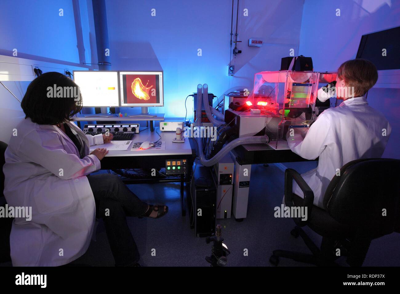 La biotechnologie, microscope à fluorescence, une version spéciale d'un ...