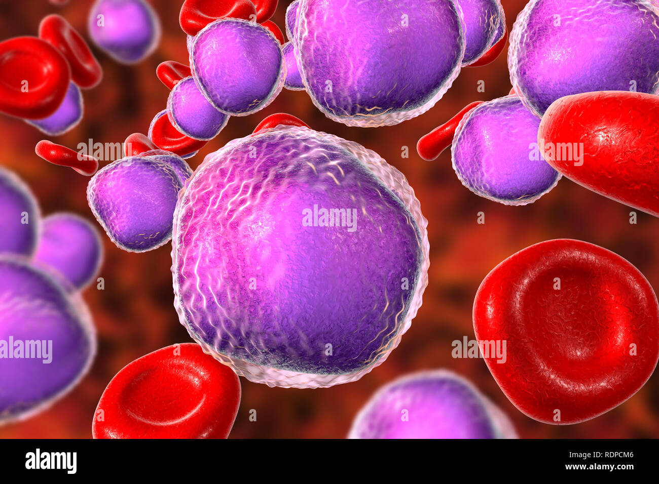 Lymphoblaste cells Banque de photographies et d’images à haute ...