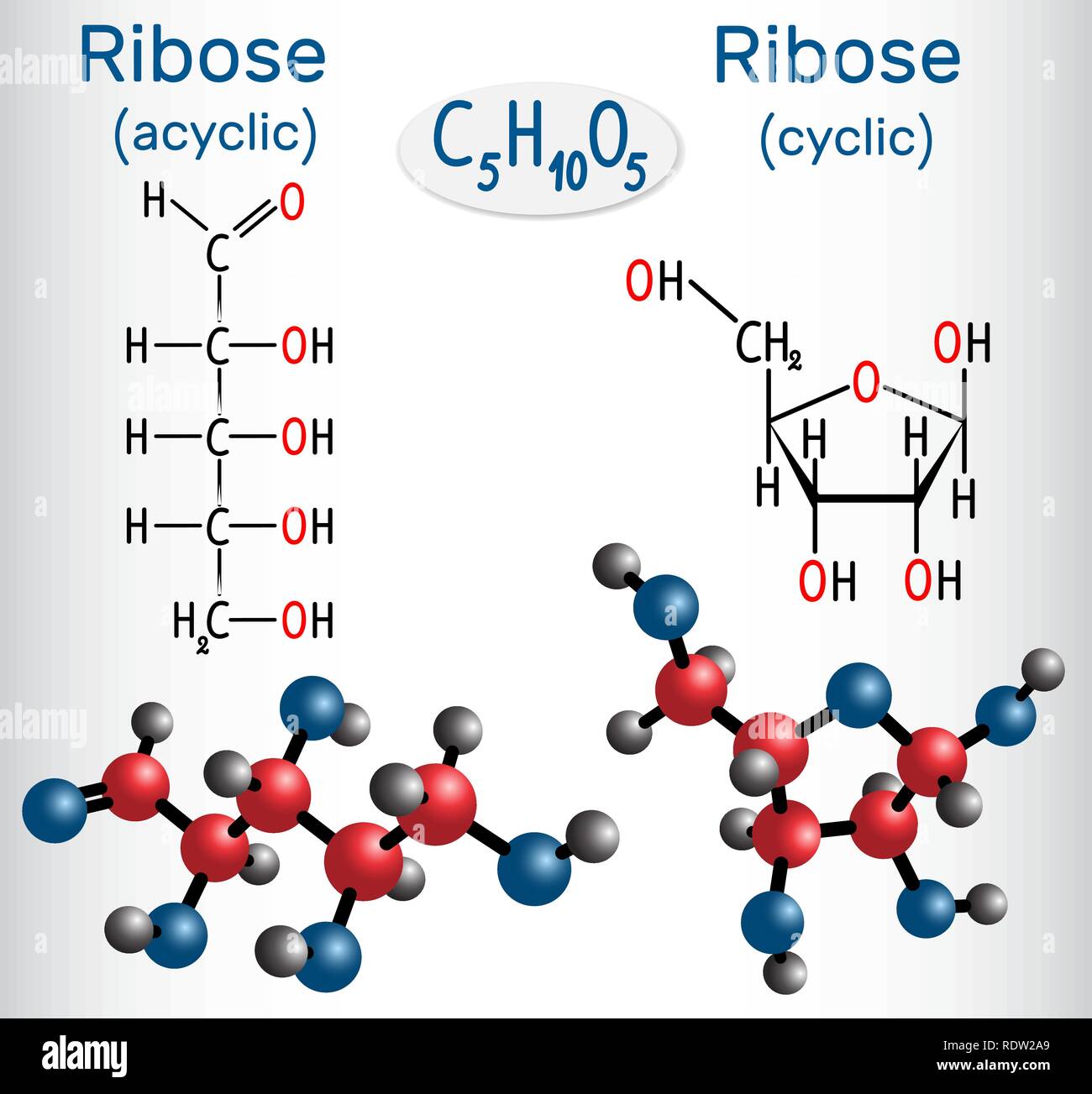 Forme linéaire () acycliques de ribose et ribose cyclique (formulaire ...