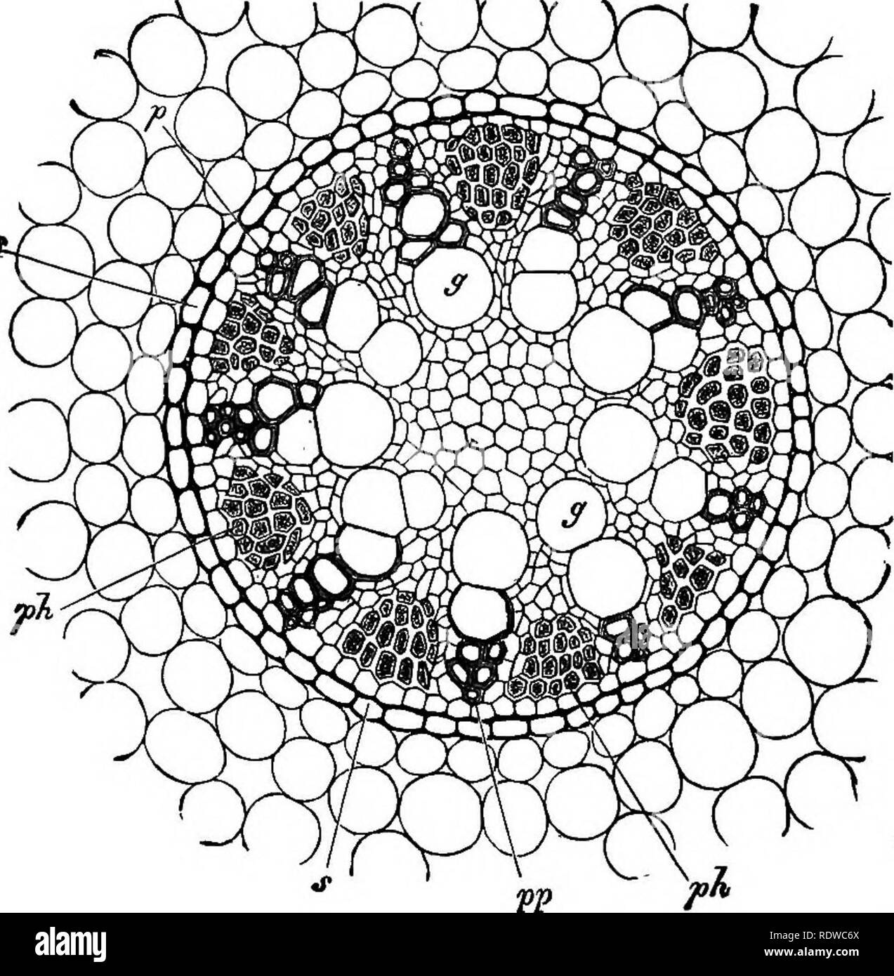 Drapeau jpp Banque de photographies et d’images à haute résolution - Alamy