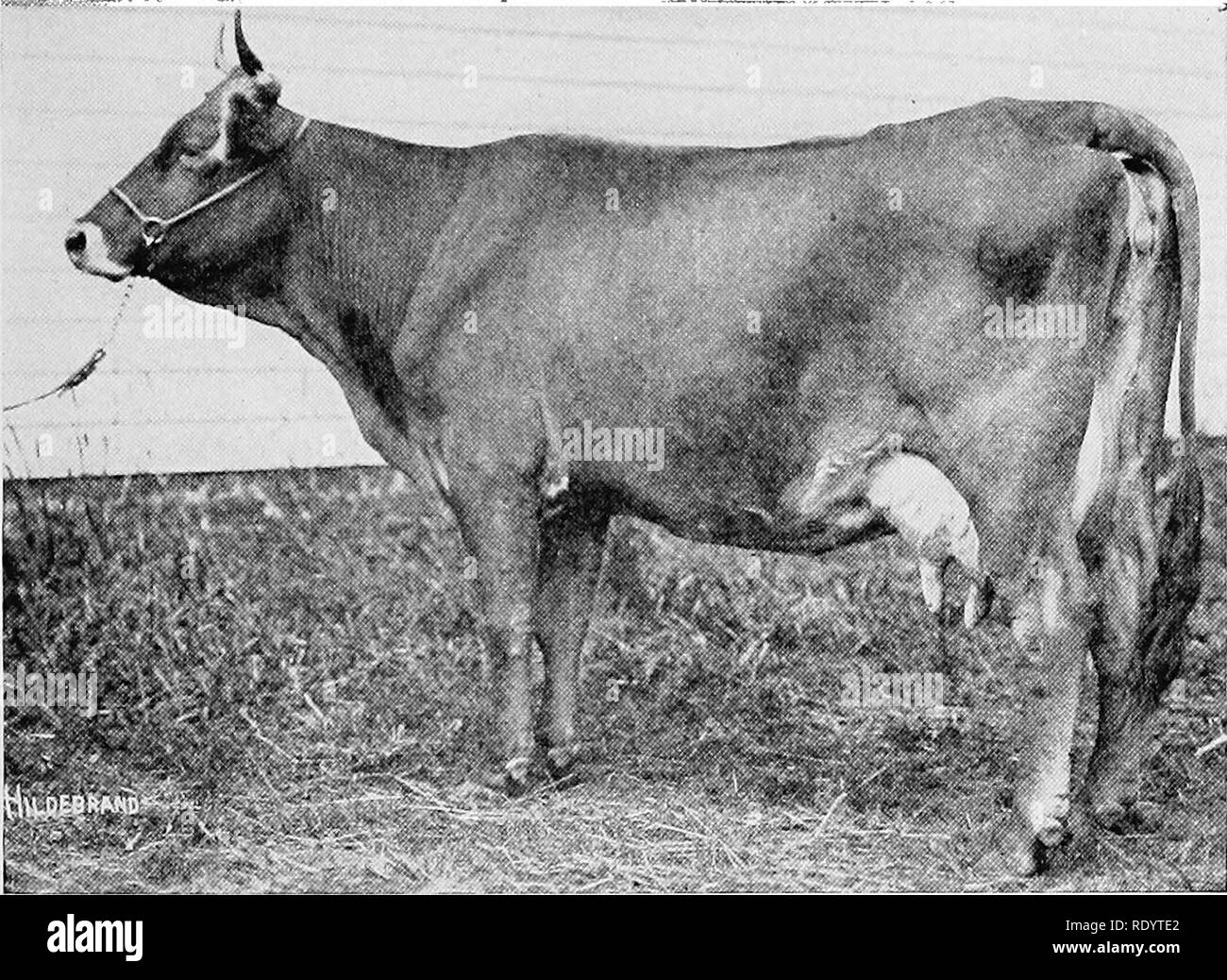 Registre national des documents Banque d'images noir et blanc - Alamy