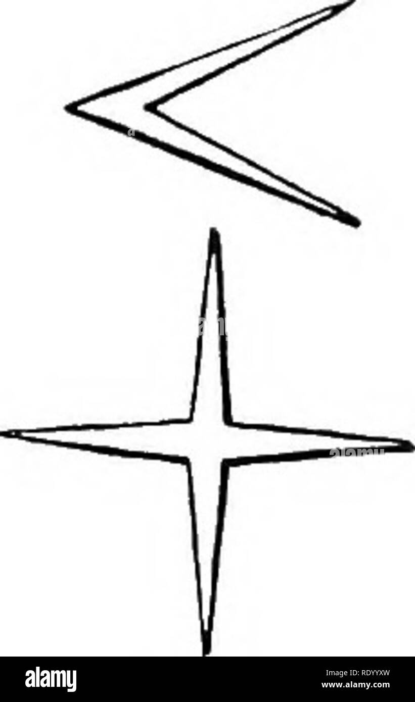 . Dispositif manuel de chirurgie vétérinaire. Chirurgie vétérinaire ...