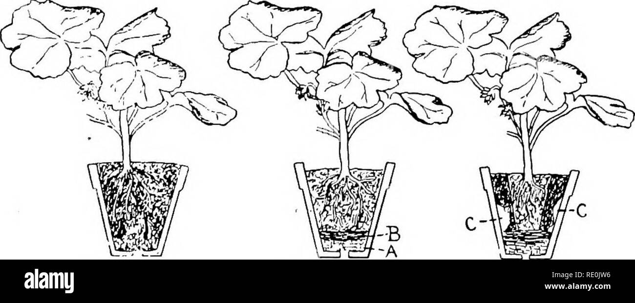 Inverted plant pot Banque d'images noir et blanc - Alamy