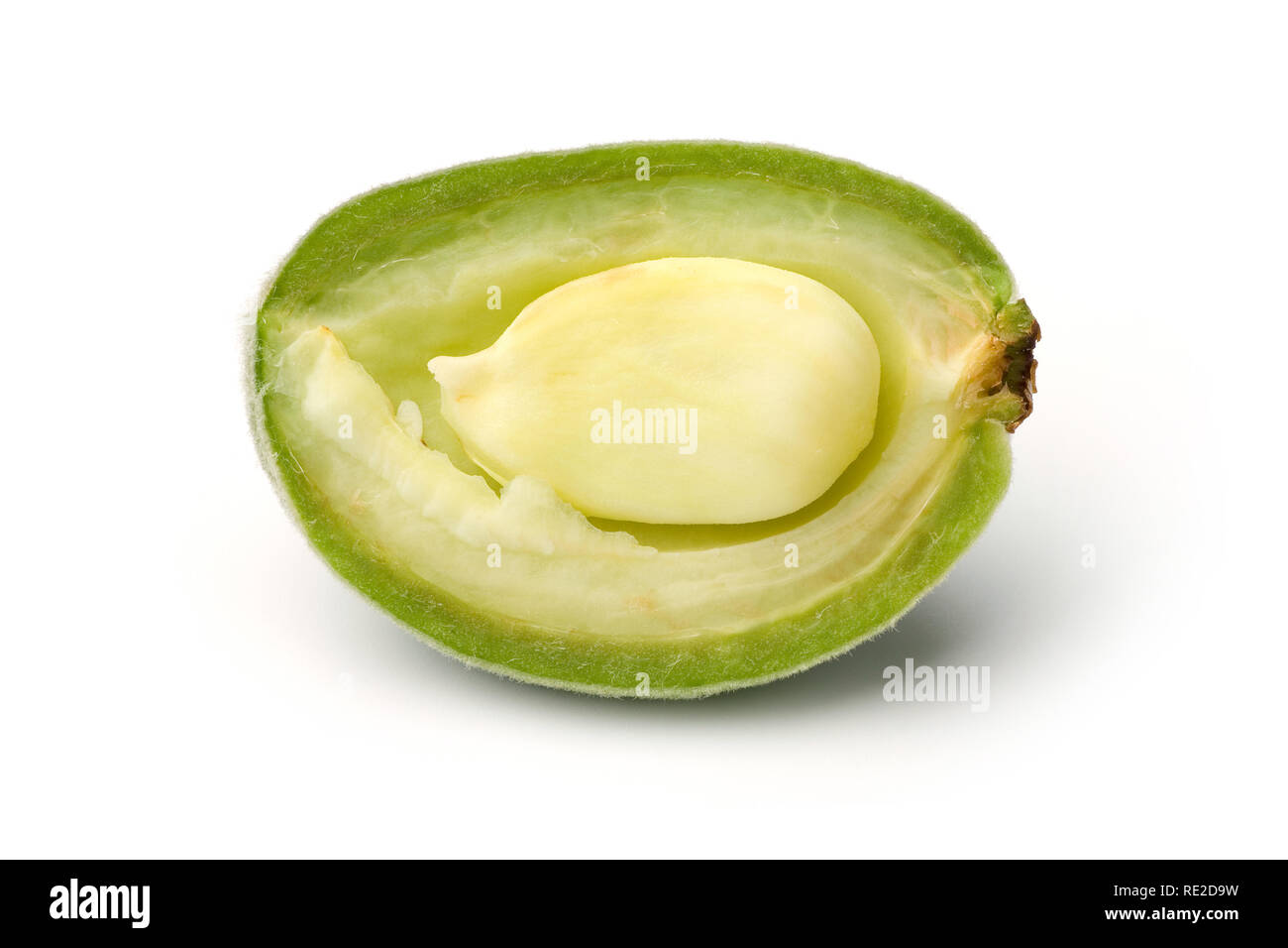 Amande verte Banque d'images détourées - Alamy