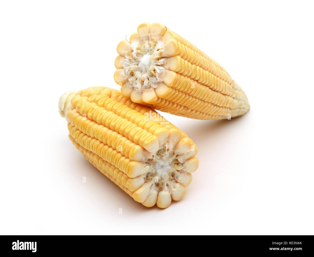 Section de la feuille de maïs Banque de photographies et d’images à ...