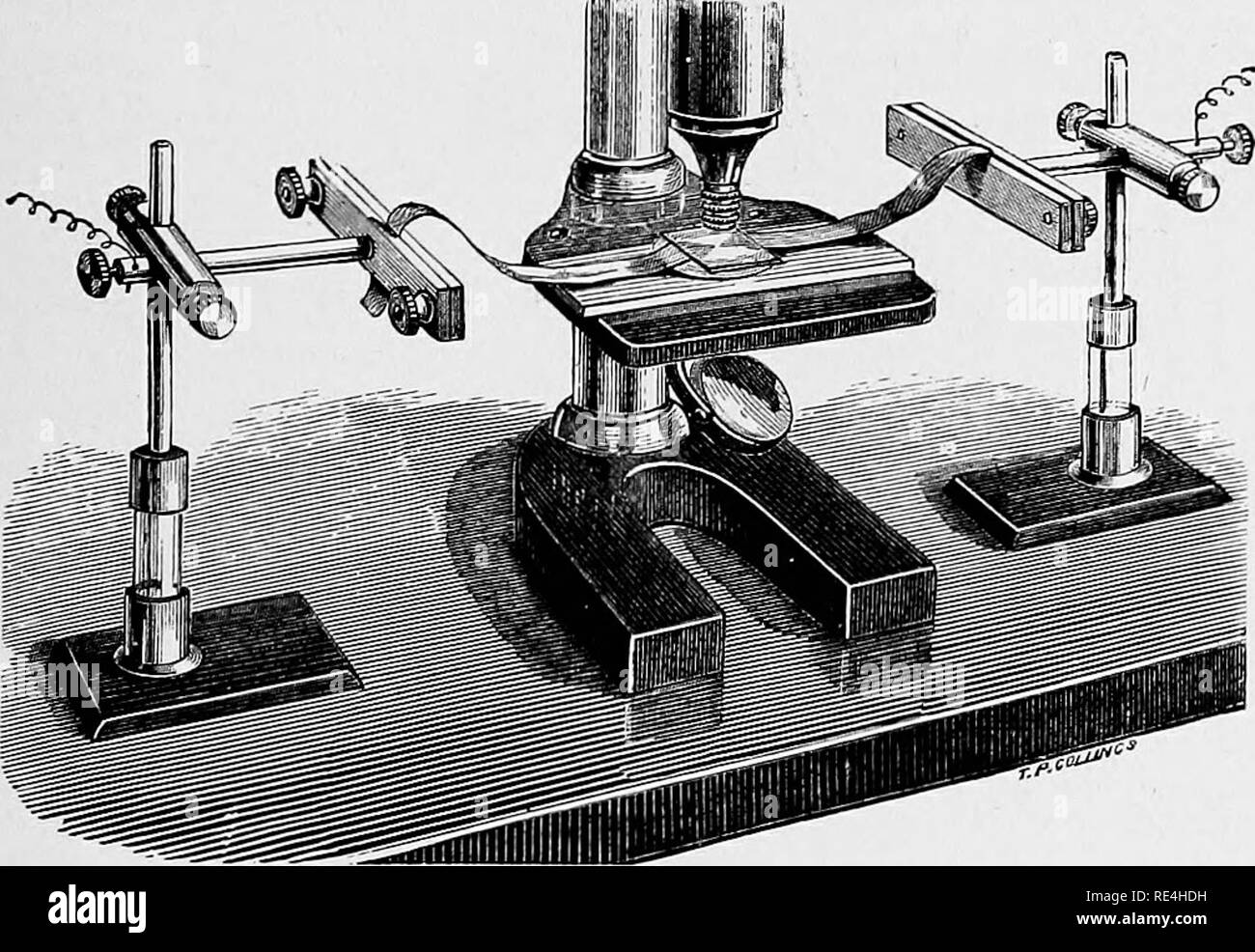 Levures microscope Banque de photographies et d’images à haute ...