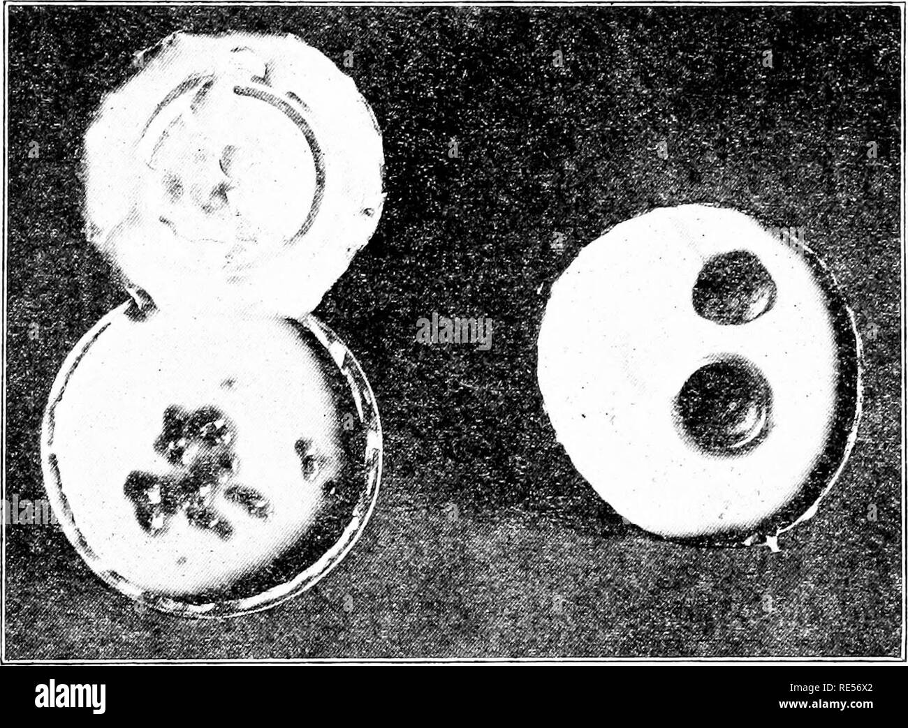 Boîte de lait concentré Banque d'images noir et blanc - Alamy