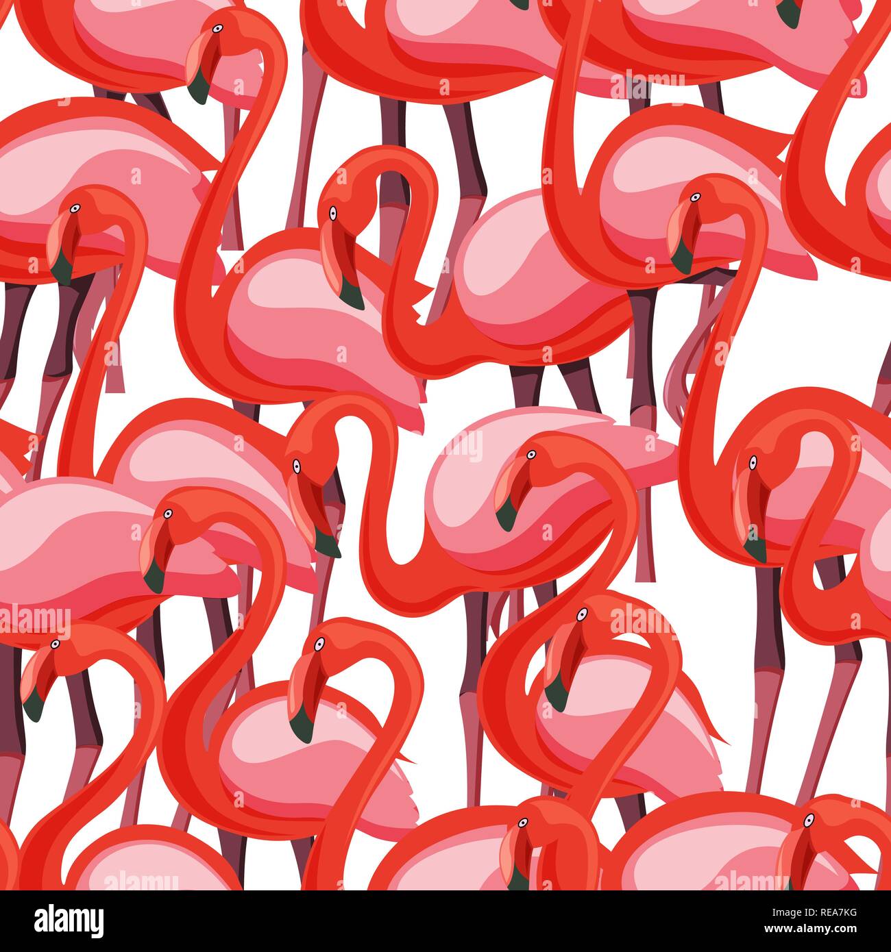 Flamant rose exotiques oiseaux échassiers colonie de flamboyance ...