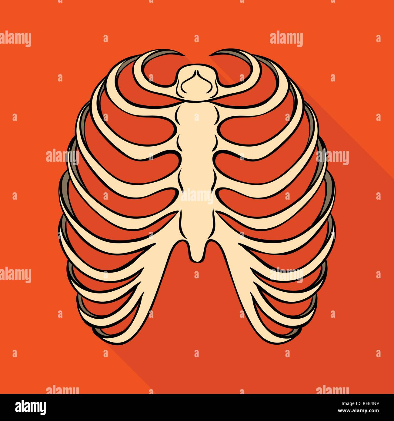 Rib Cage,,xray,body,dos,sternum sternum,calcium,chirurgie,os,squelette ...