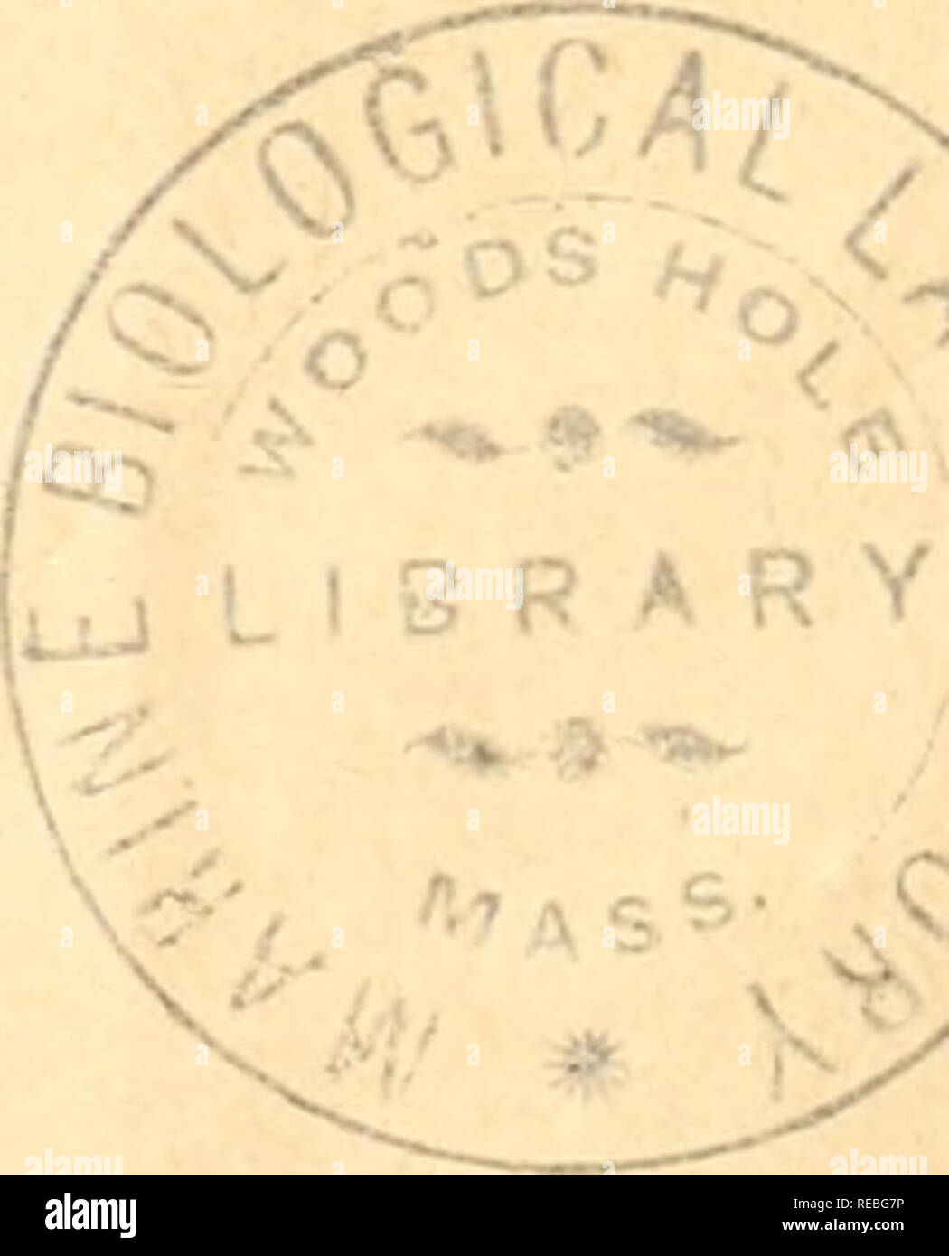 Borel alfred Banque de photographies et d’images à haute résolution - Alamy