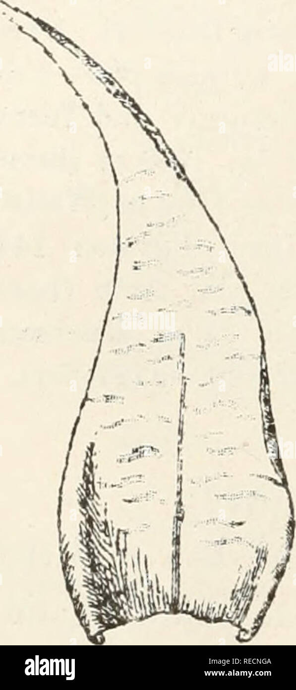 . Le Dr L. Euler's Kryptogamen-Flora von Deutschland, Österreich und ...