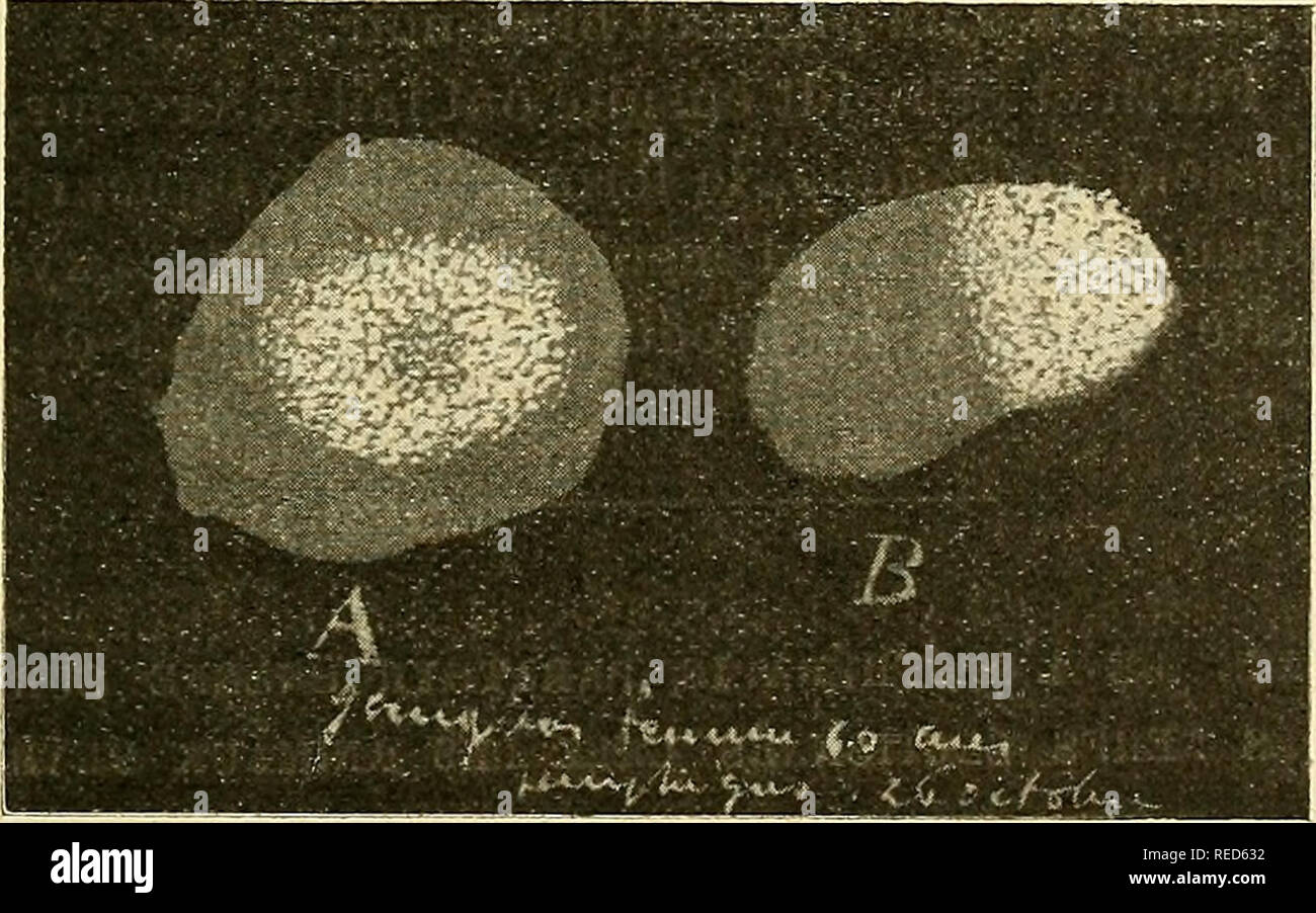 . Comptes rendus des sÃ©ances de la SociÃ©tÃ© de biologie et de ses ...