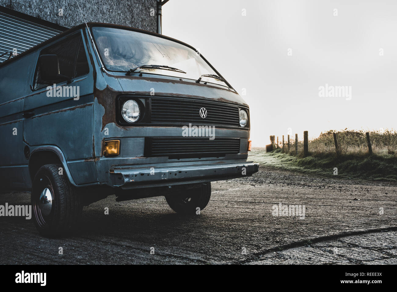 Rat look Banque de photographies et d’images à haute résolution - Alamy