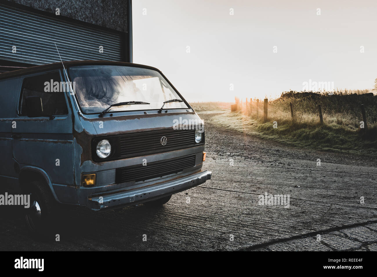 Rat Look Banque d'image et photos - Alamy