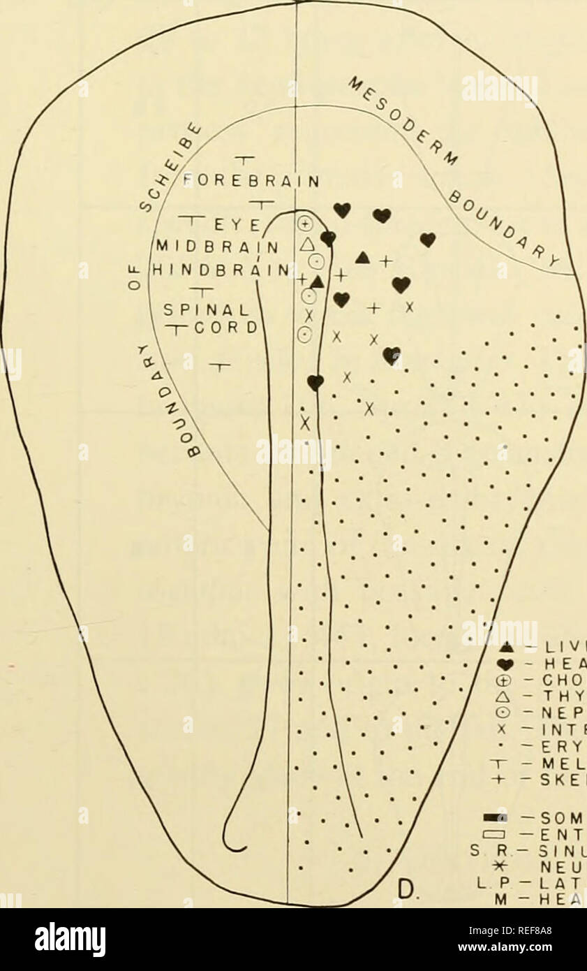 . L'embryologie comparative des vertébrés ; avec 2057 dessins et photos ...