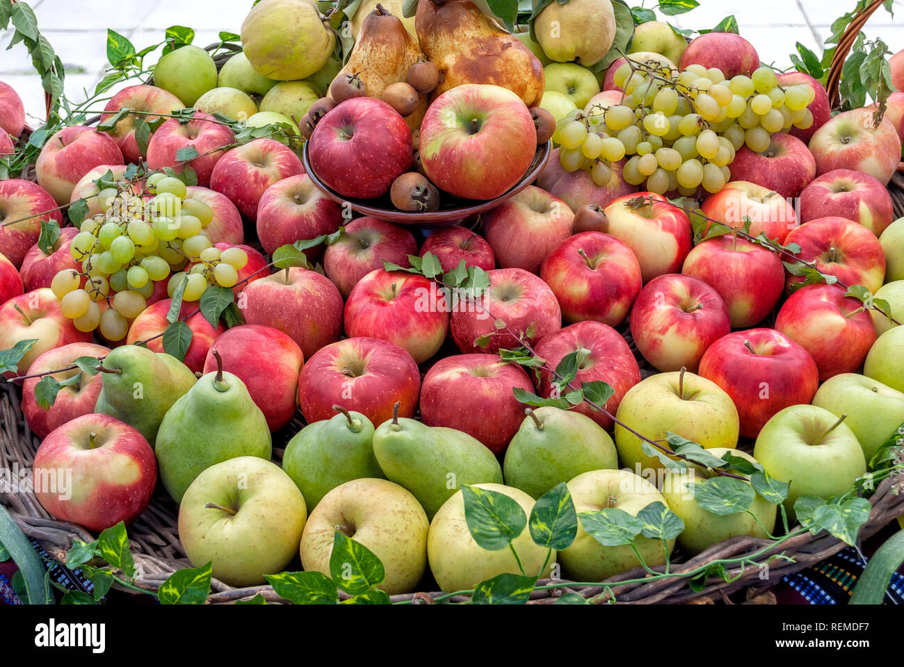 Nature morte aux pommes et poires Banque de photographies et d’images à ...