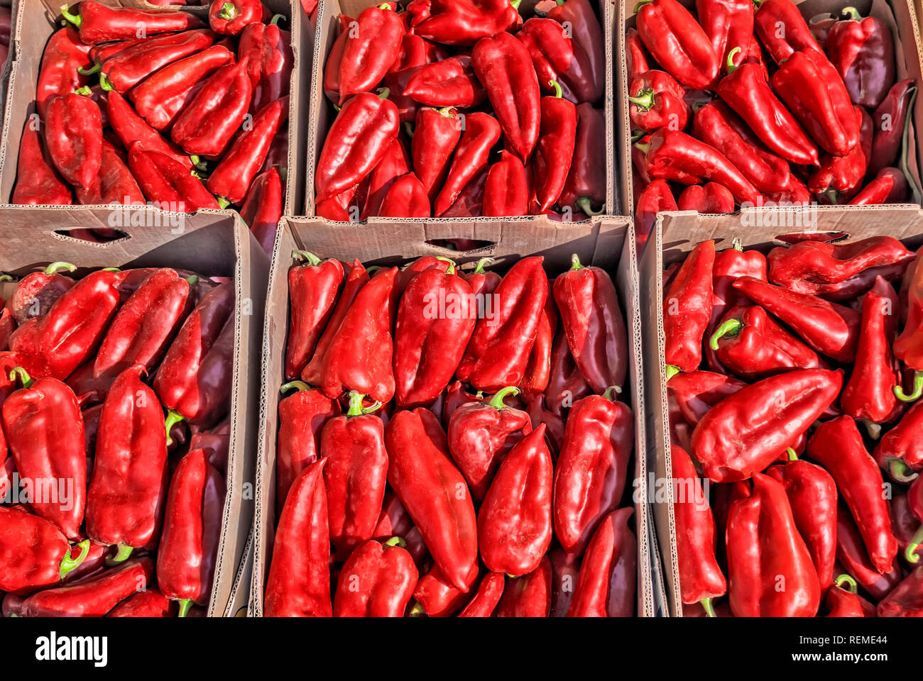 Poivrons rouges en carton Banque de photographies et d’images à haute ...