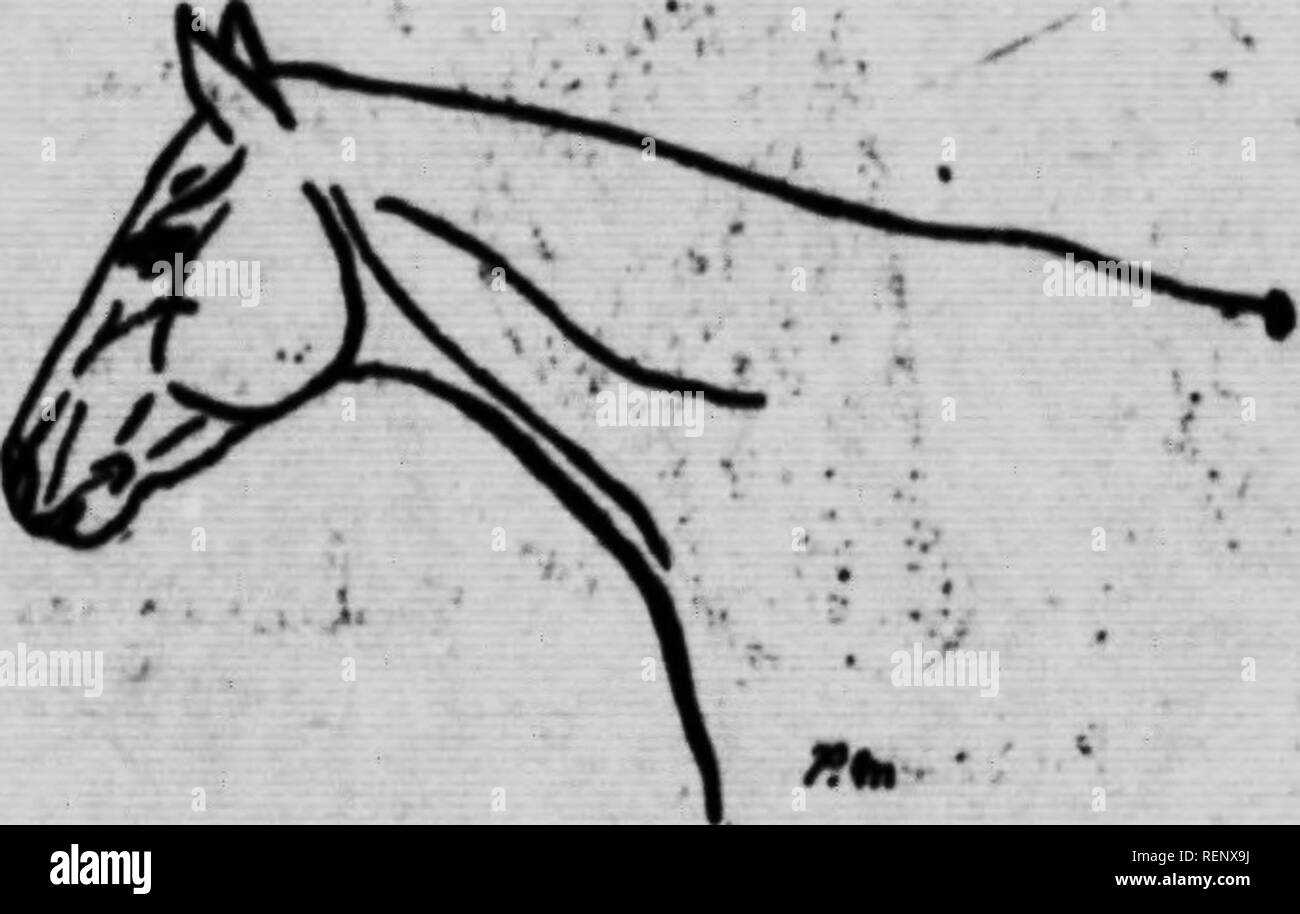 Un genoux Banque d'images noir et blanc - Alamy