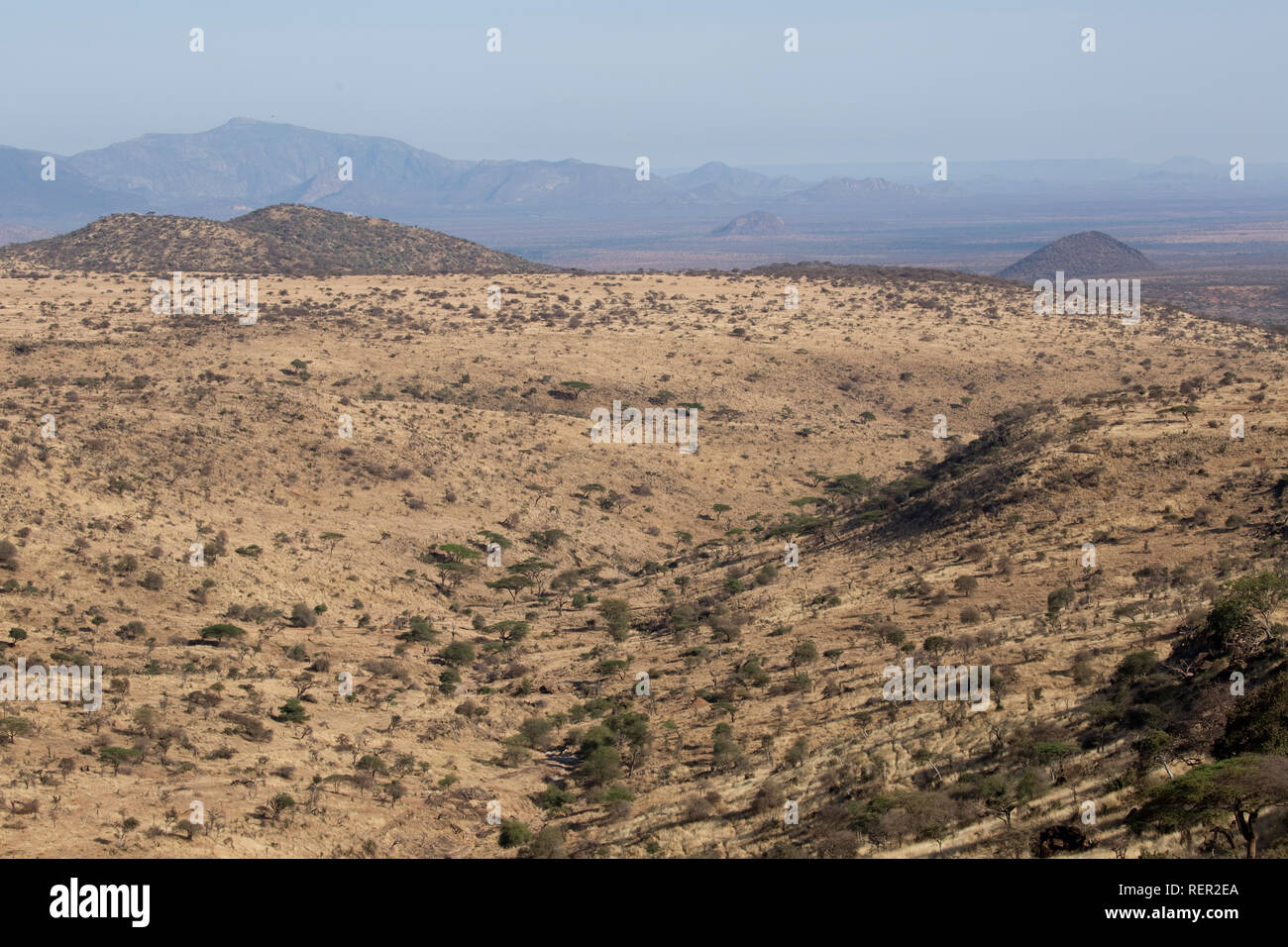 Habitat aride Banque de photographies et d’images à haute résolution ...