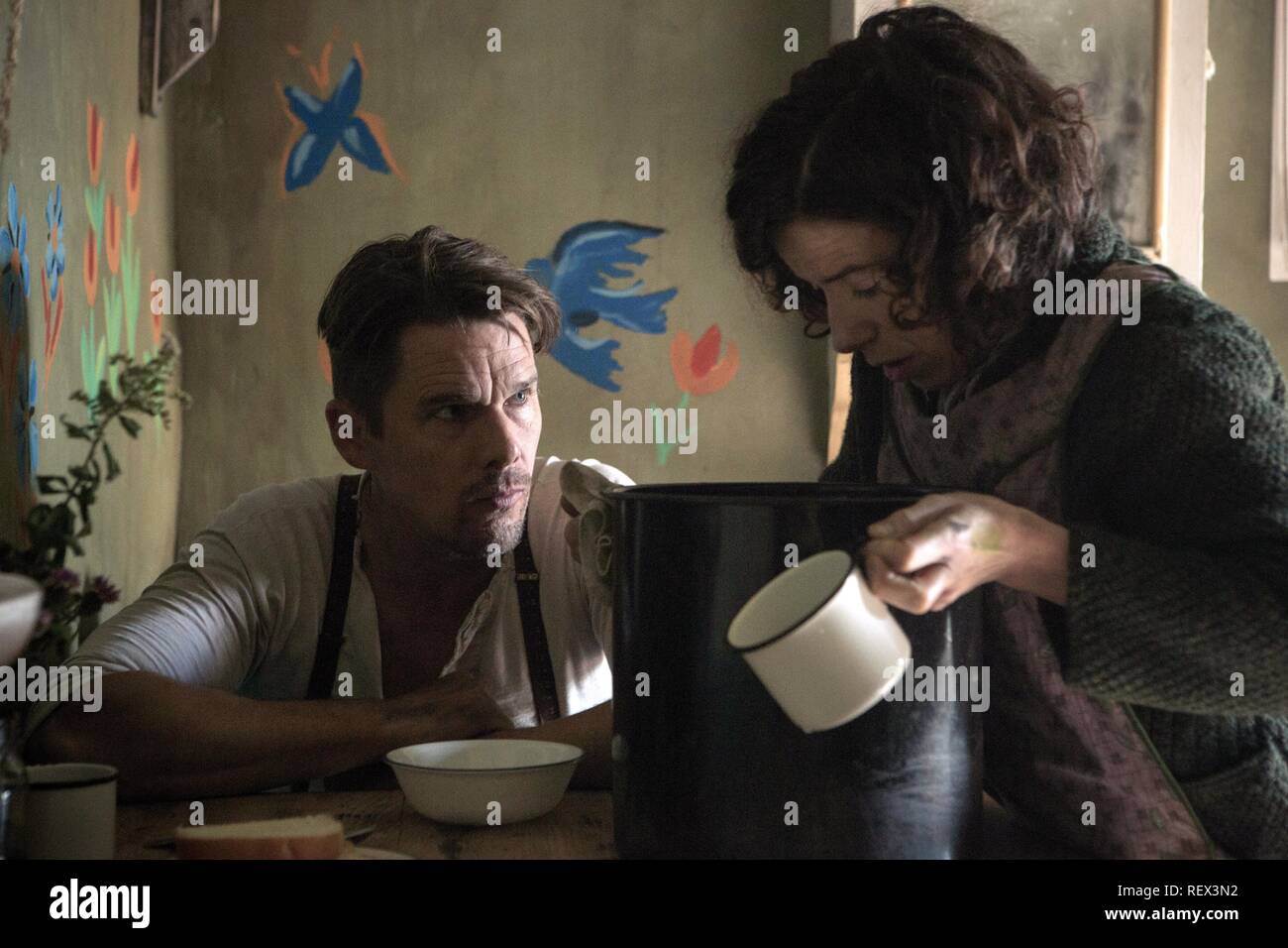 Sally Hawkins Maud Lewis Ethan Hawke Everett Banque d'image et photos ...