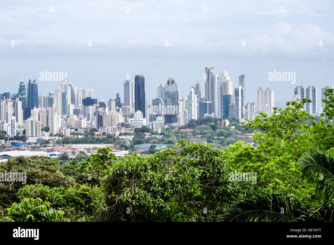 Parc national métropolitain panama Banque de photographies et d’images ...
